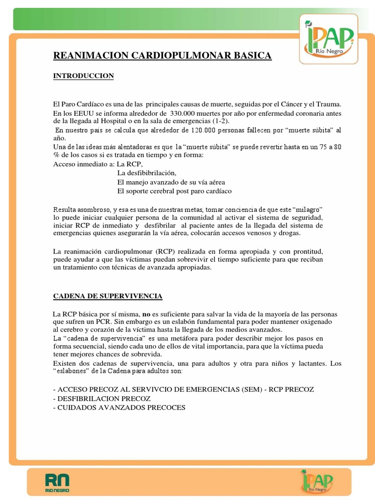 RCP Actualizado | PDF