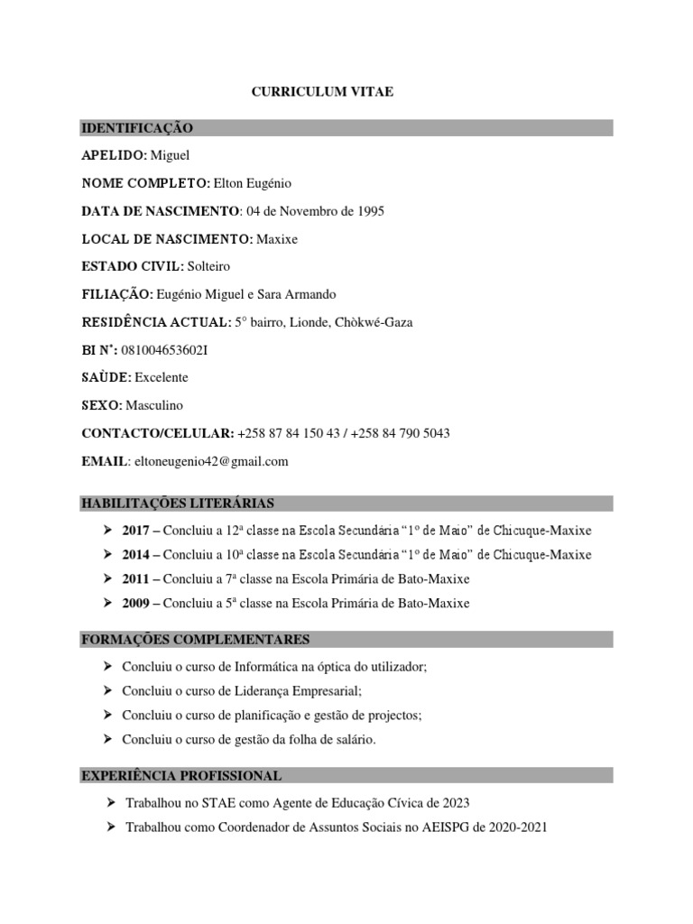CURRICULUM VITAE-Medio | PDF | Bem-estar