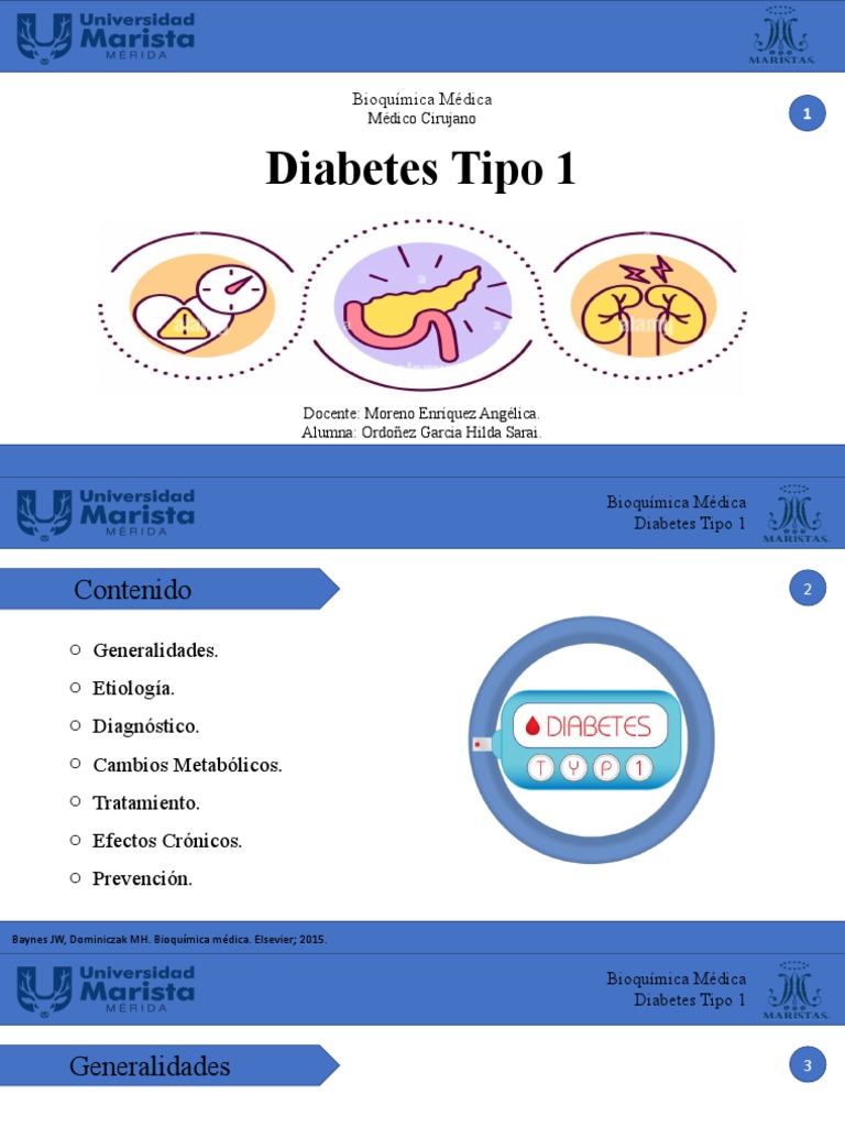 Bioquímica de la Diabetes Tipo 1 | PDF | Salud y bienestar
