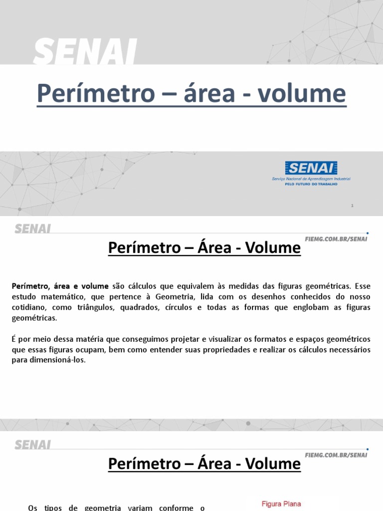 Perímetro - Área - Volume | PDF