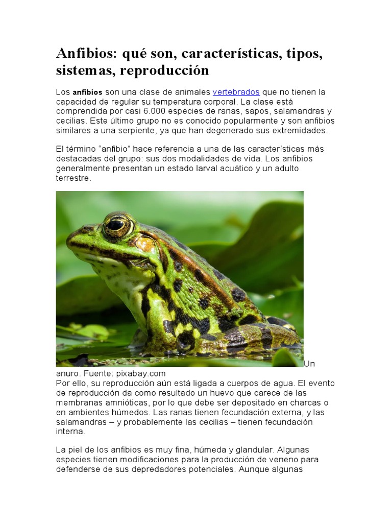 Anfibios | PDF