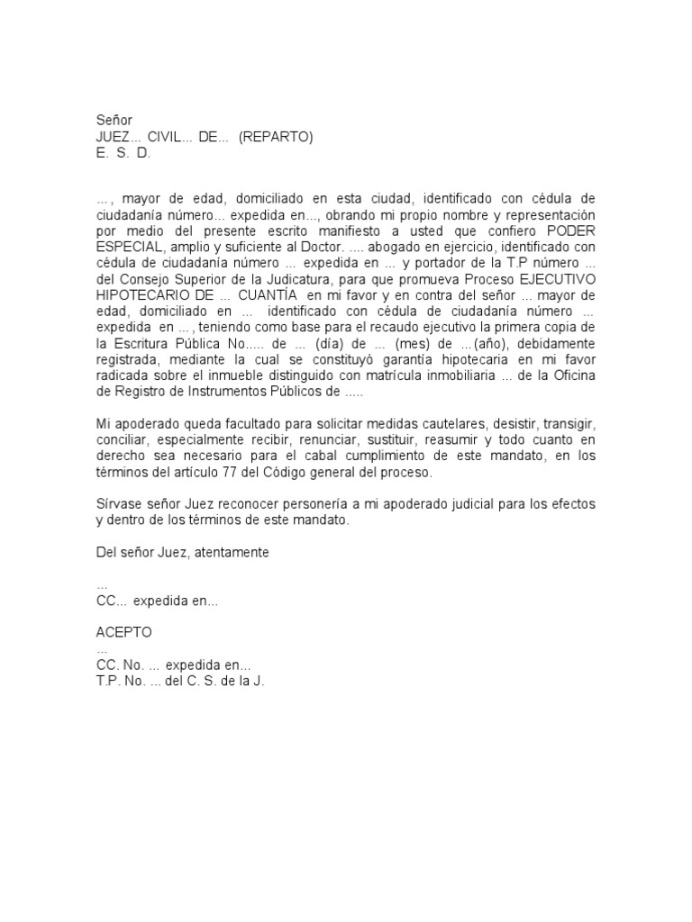 Modelo de Poder para Proceso Ejecutivo Con Título Hipotecario | PDF