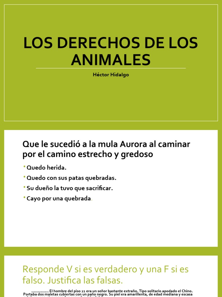 Los Derechos de Los Animales | PDF