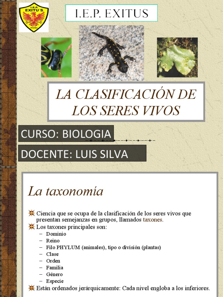 Clase de 2do Sec. | PDF | Las bacterias | Taxonomía (biología)