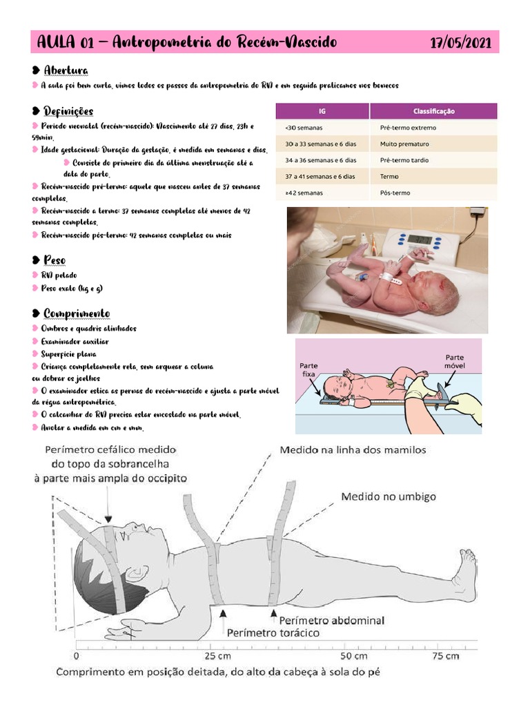 Aula 01 Antropometria Do Rn Pdf