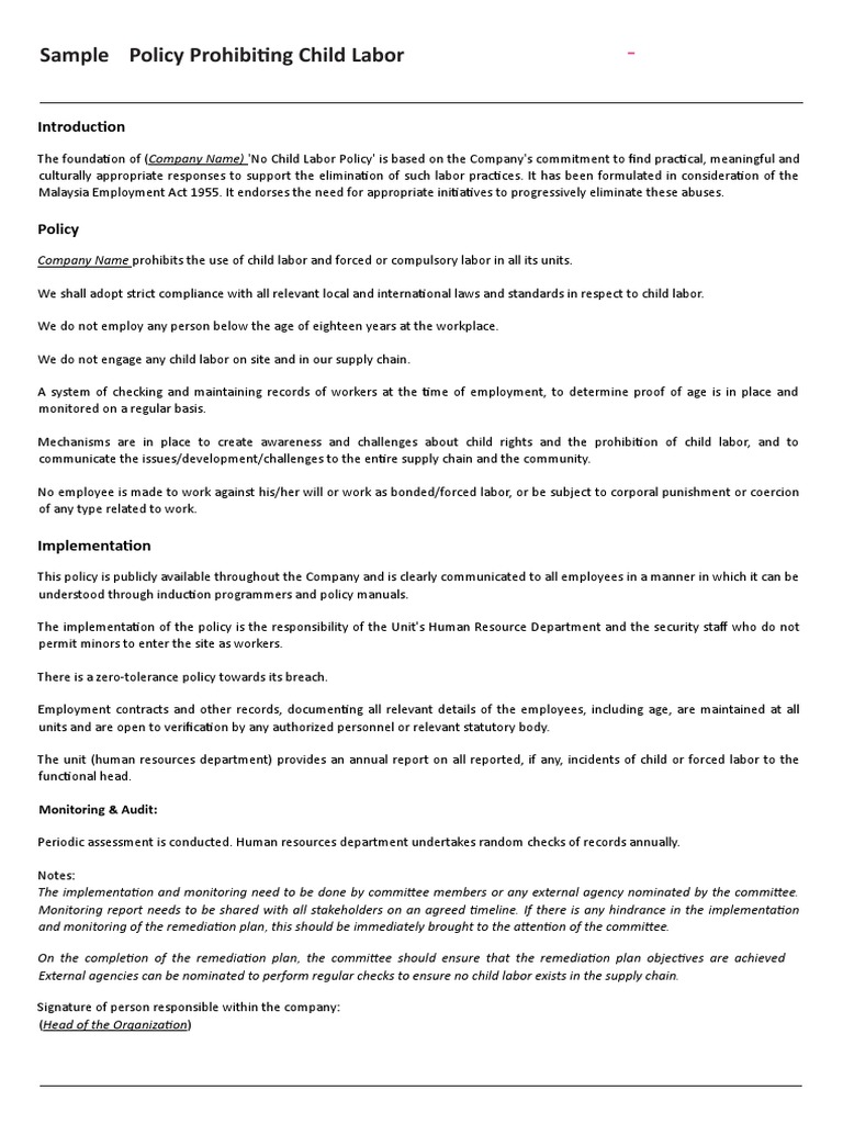 No Child Labor Policy Overview | PDF