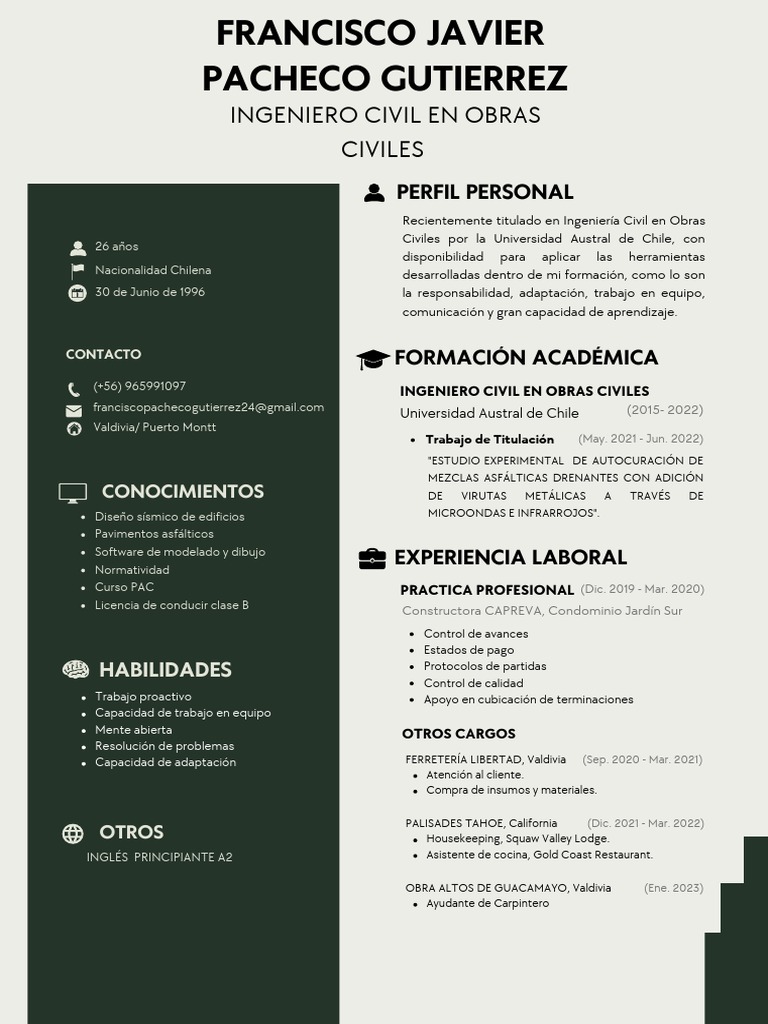 CV Francisco Pacheco | PDF | Ingeniería
