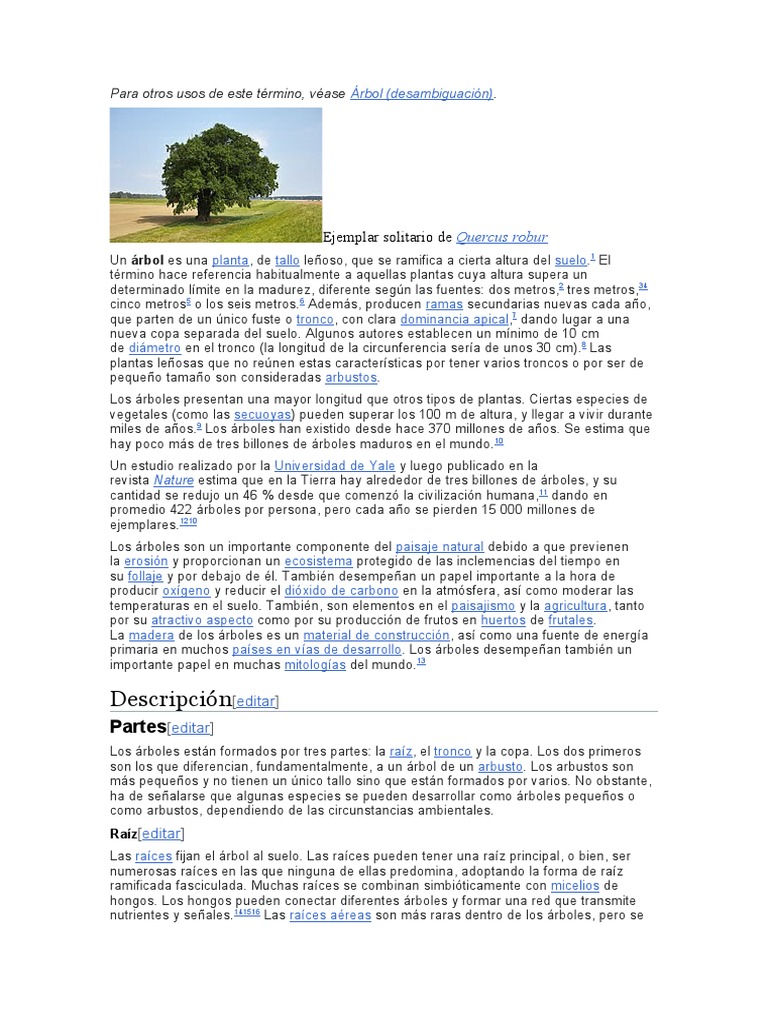 El Arbol | PDF