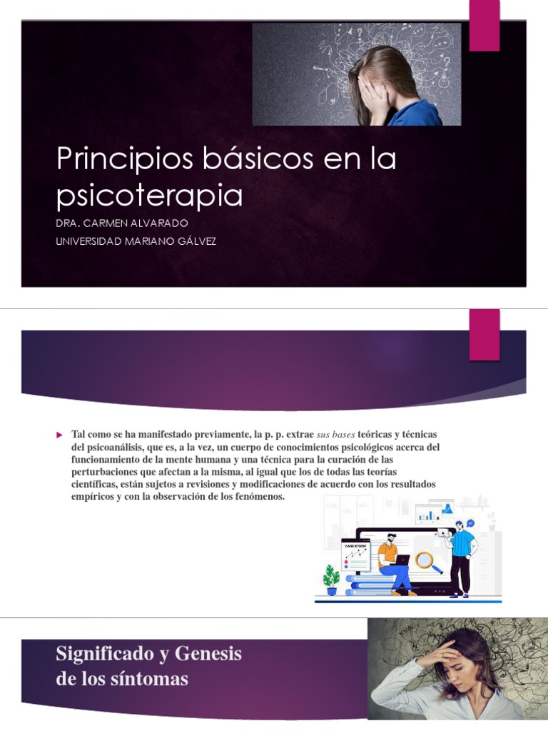 Principios Básicos en La Psicoterapia | PDF | Carné de identidad | Psicoanálisis