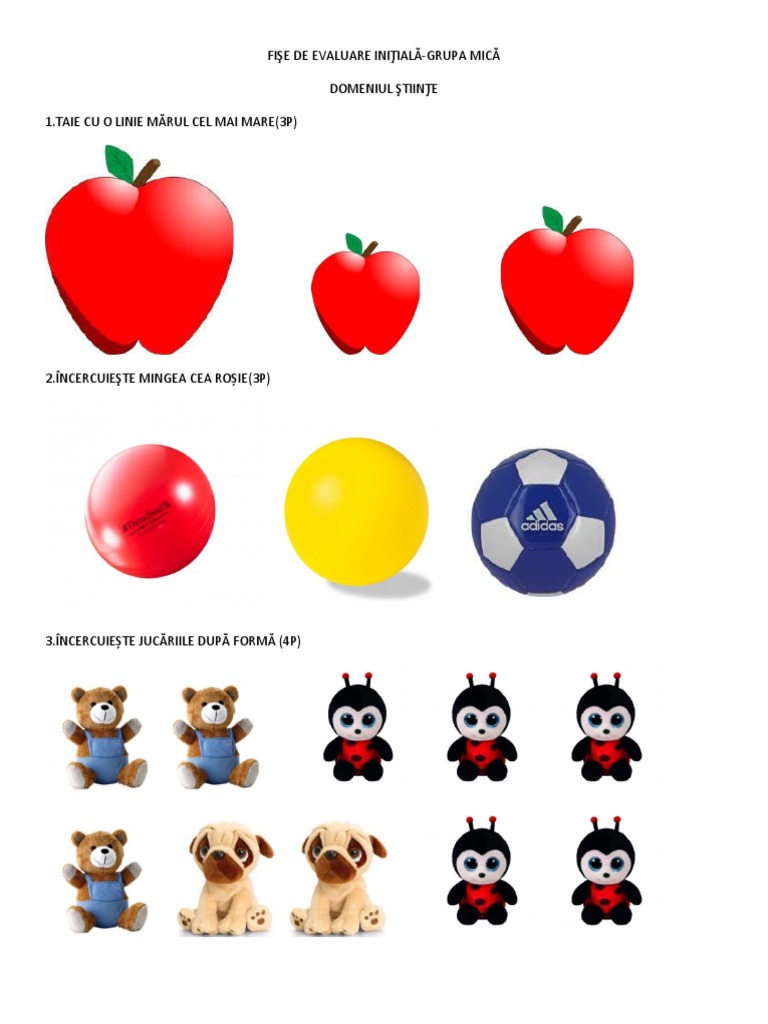 Fisa de Evaluare Initiala DS - GR Mica | PDF