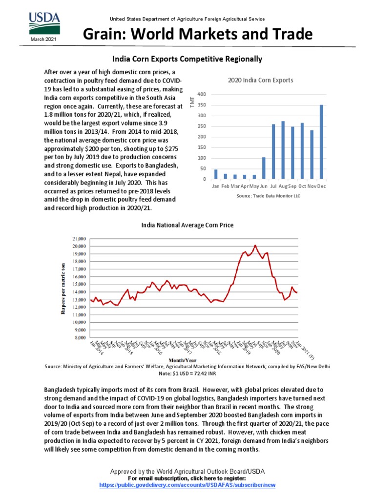 Grain | PDF | Rice | Wheat
