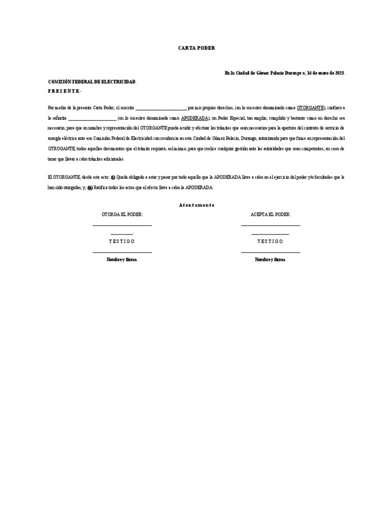 Carta Poder CFE-FORMATO | PDF