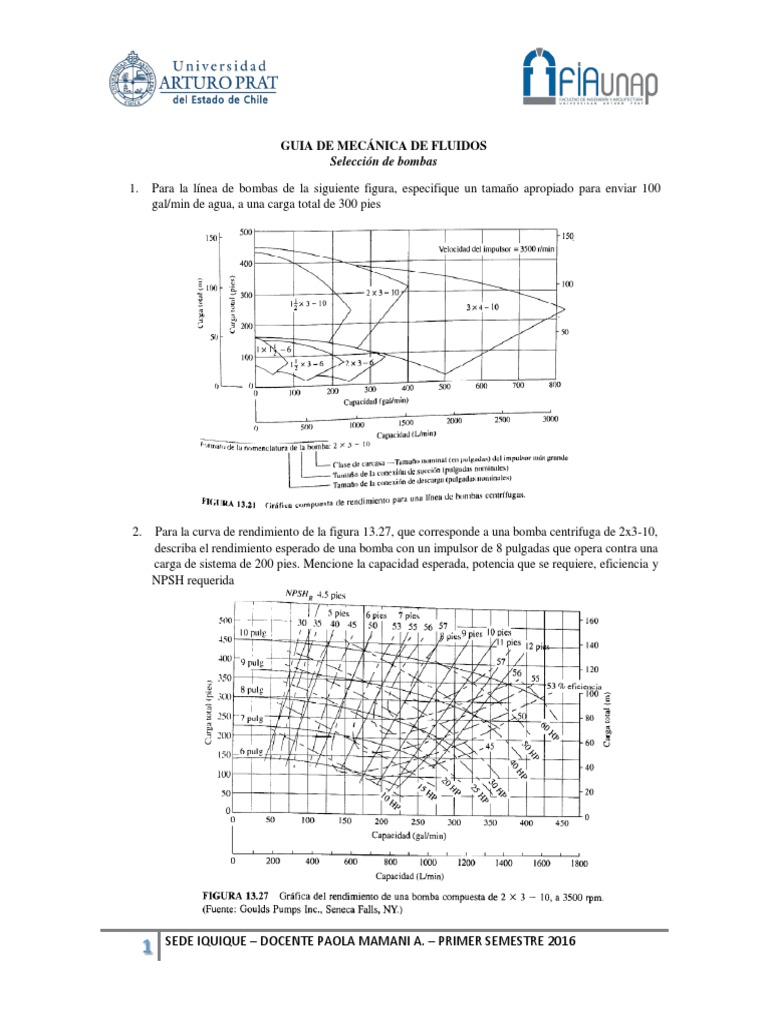 GUIA N9 Seleccion de Bombas | PDF