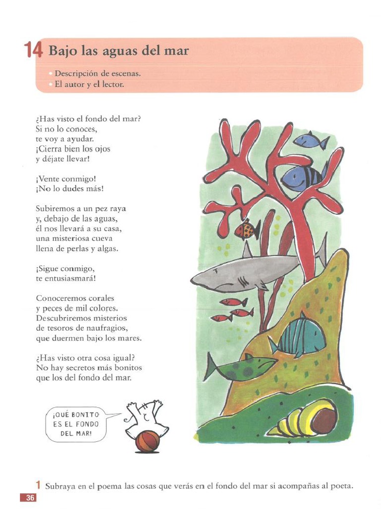 4to Primaria II | PDF