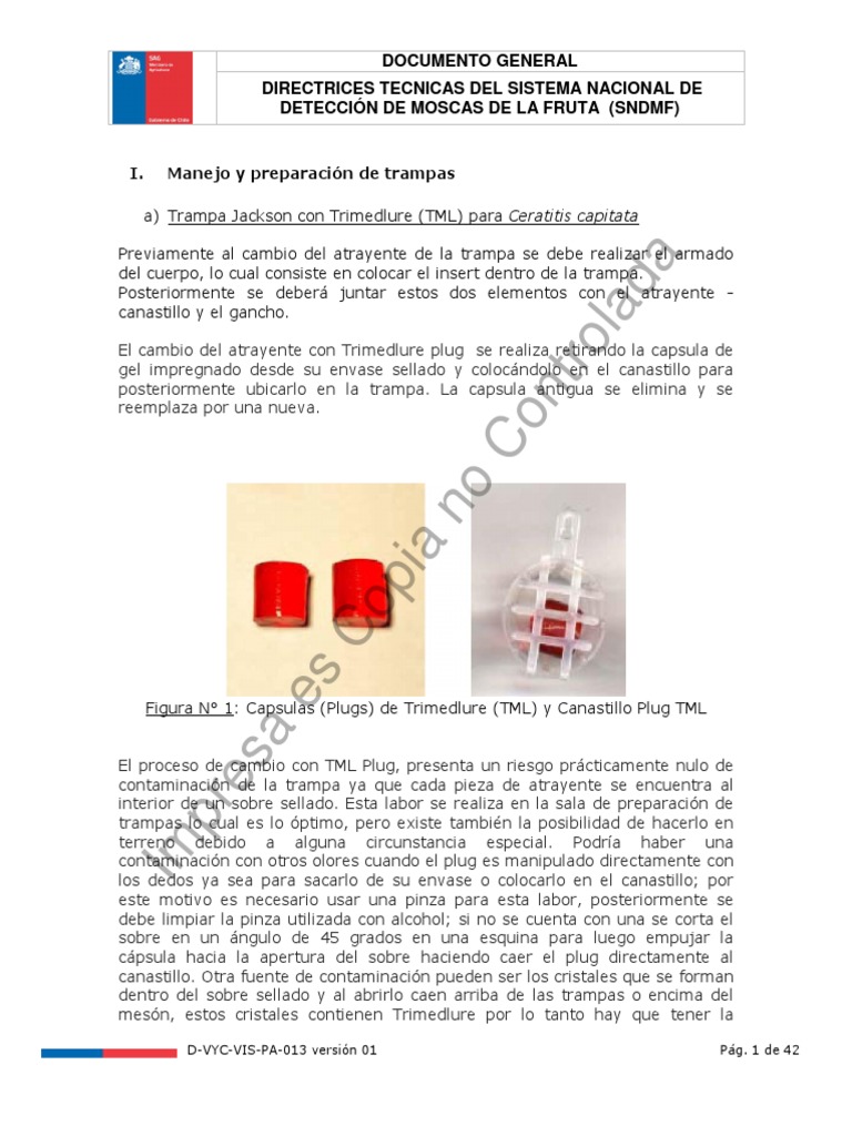 Directrices Tecnicas SNDMF | PDF