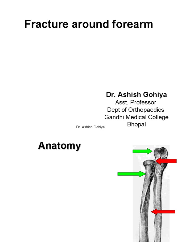 Forearm | PDF | Anatomical Terms Of Motion | Skeletal System