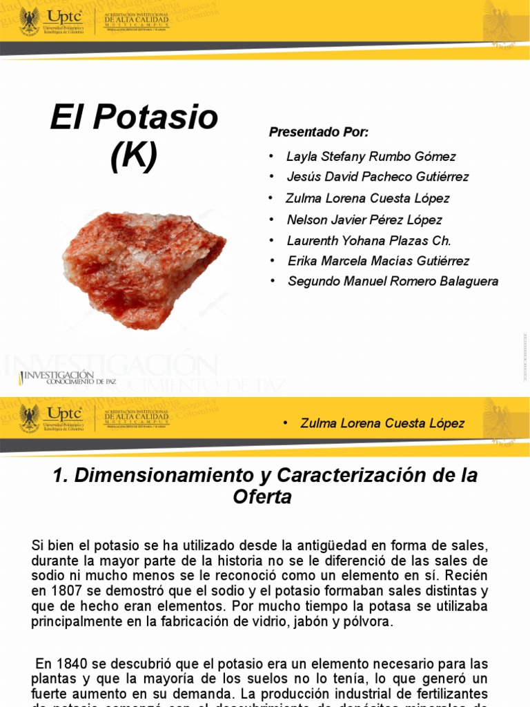 Presentacion Potasio | PDF | Potasa | Fertilizante