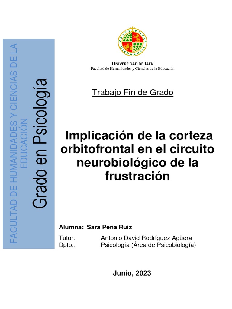 TFG Sara-Final | PDF