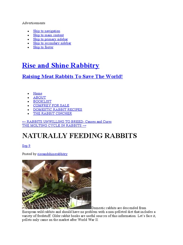 Rabbit Recipe | PDF