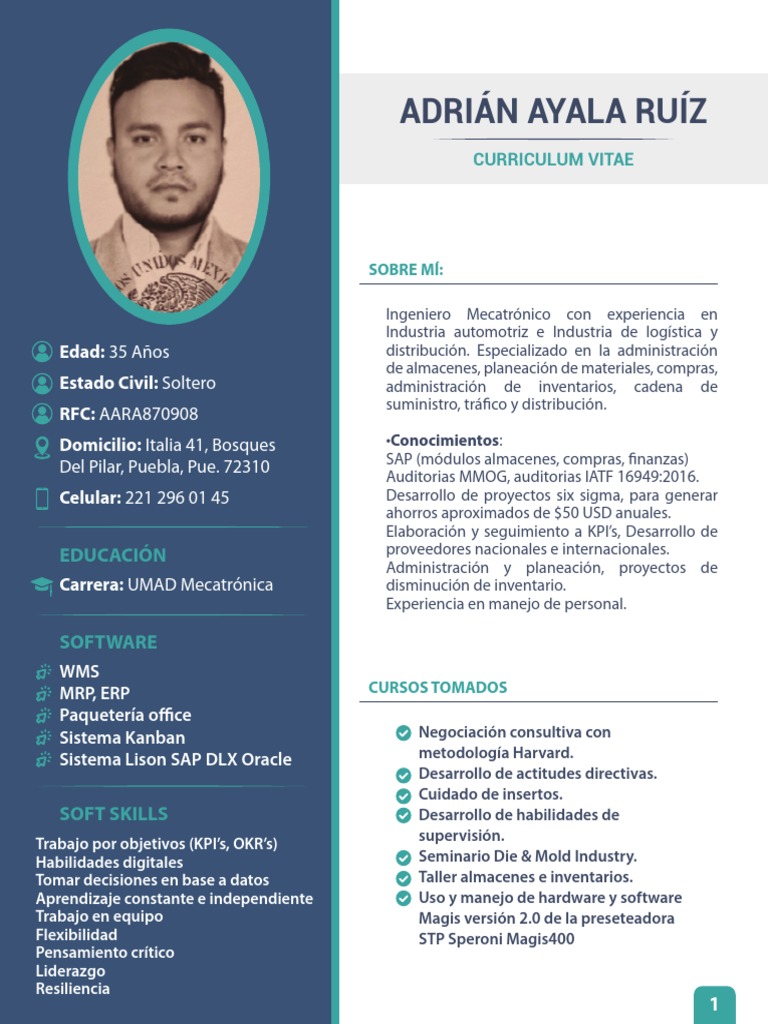 Curriculum-Vitae Adrian | PDF