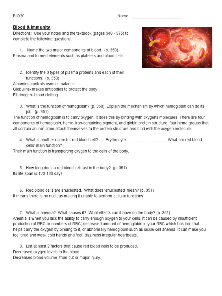 Blood Components and Functions Explained | PDF | Blood Type | Immune System