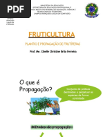 Sementes Recalcitrantes e Ortodoxas | PDF | Semente | Umidade