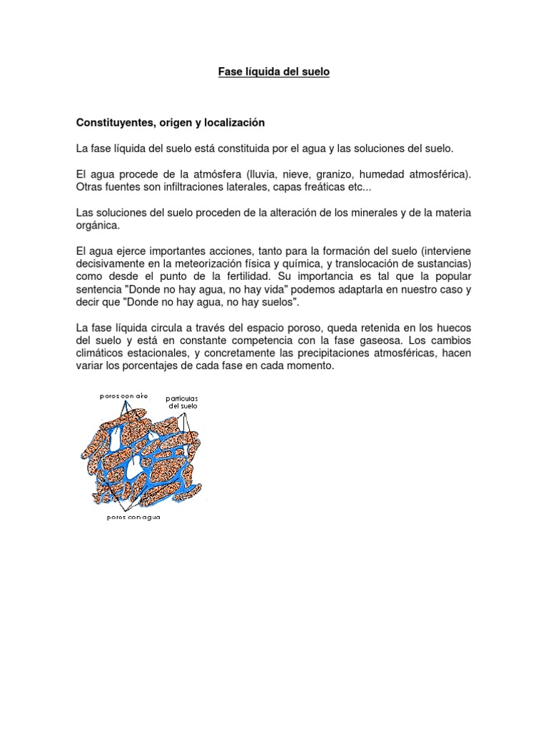 Fase Lã Quida y Gaseosa Del Suelo | PDF | Suelo | Agua