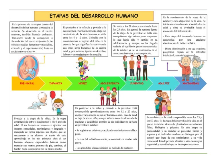 Etapas Del Desarrollo Humano | PDF