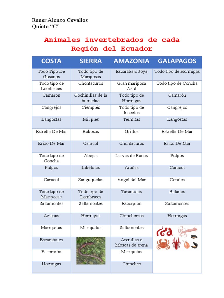 Animales invertebrados de cada Región del Ecuador | PDF