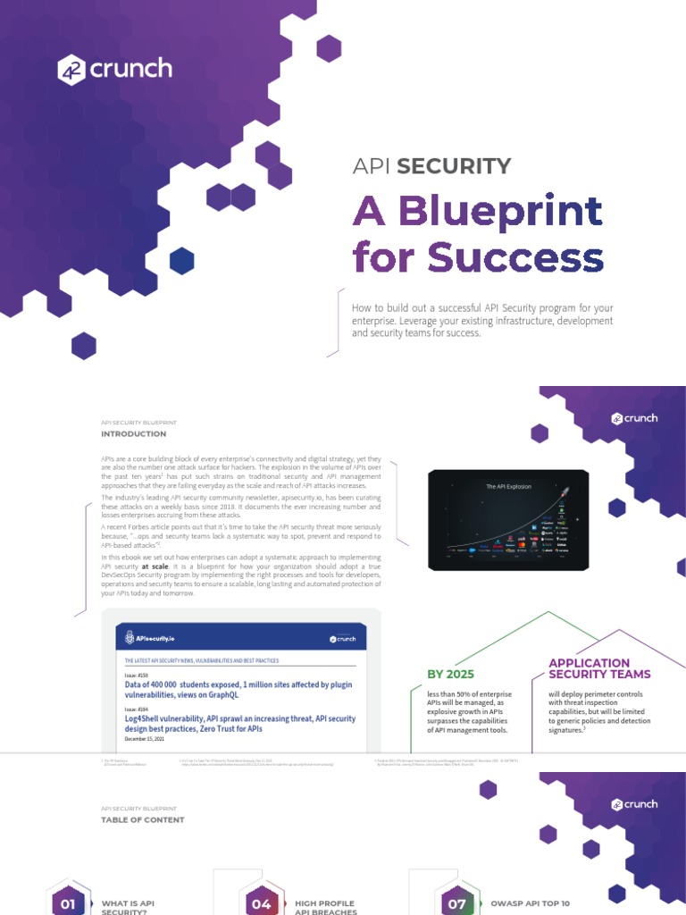 42crunch Blueprint For API Security Success | PDF | Security | Computer Security