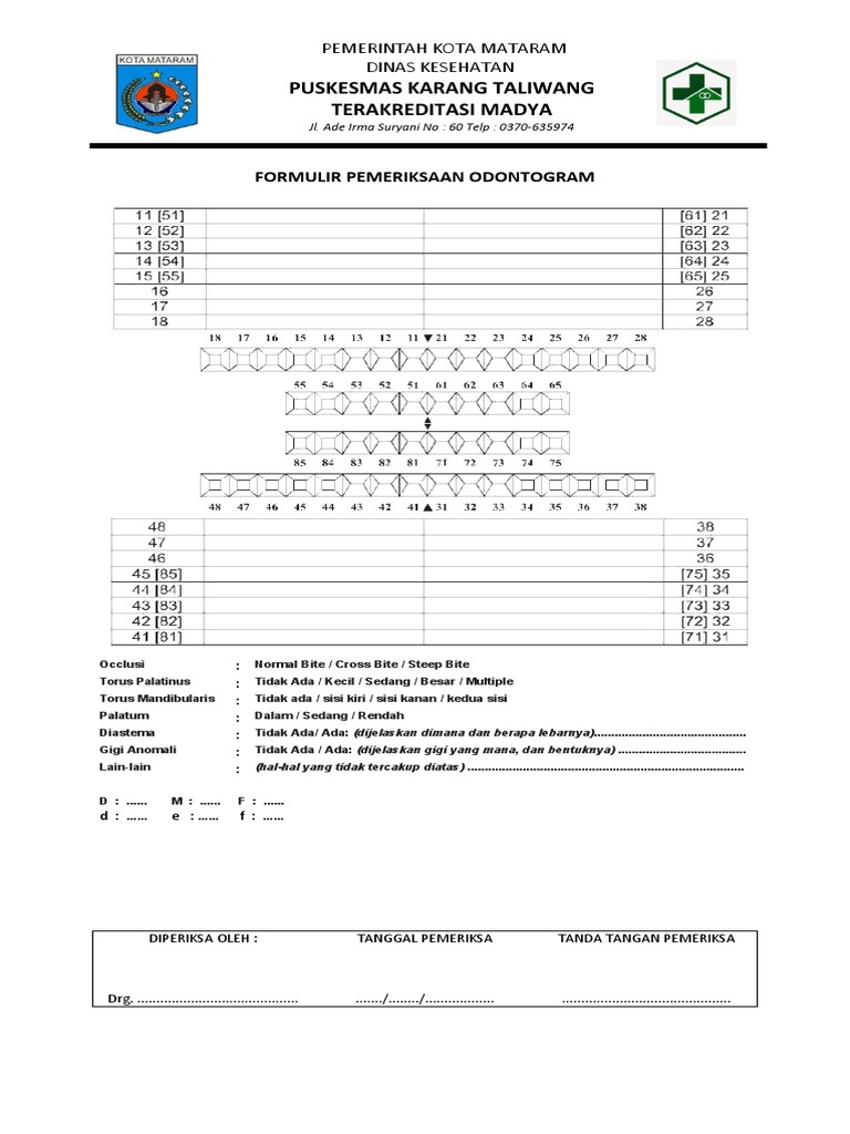 Formulir Pemeriksaan Odontogram | PDF