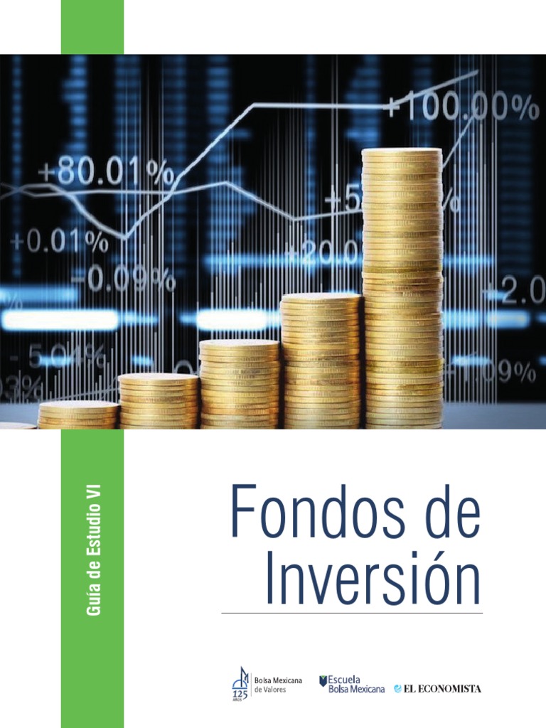 Bvm Guia Estudio Vi Fondos De Inversion Pdf