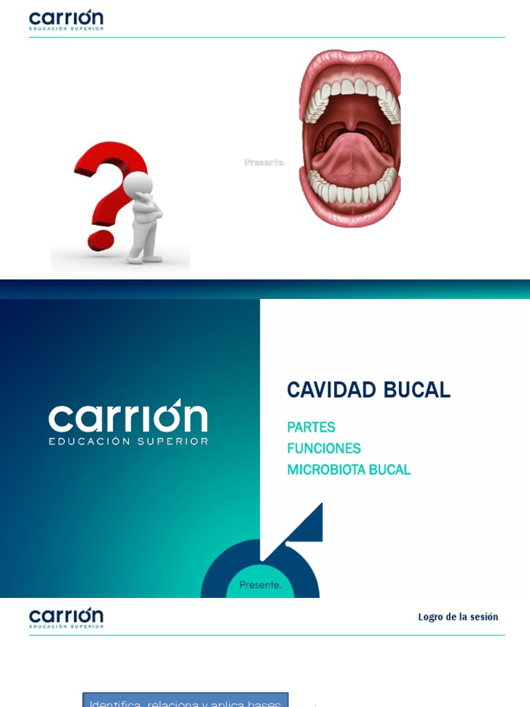 Anatomía y Funciones de la Cavidad Bucal | PDF | Boca | Membrana mucosa