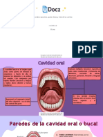 Musculos Del Velo Del Paladar | PDF | Tejido suave | Sistema ...