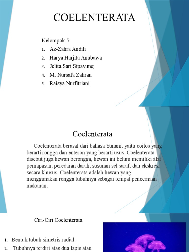 Coelenterata: Ciri, Klasifikasi, dan Peran | PDF