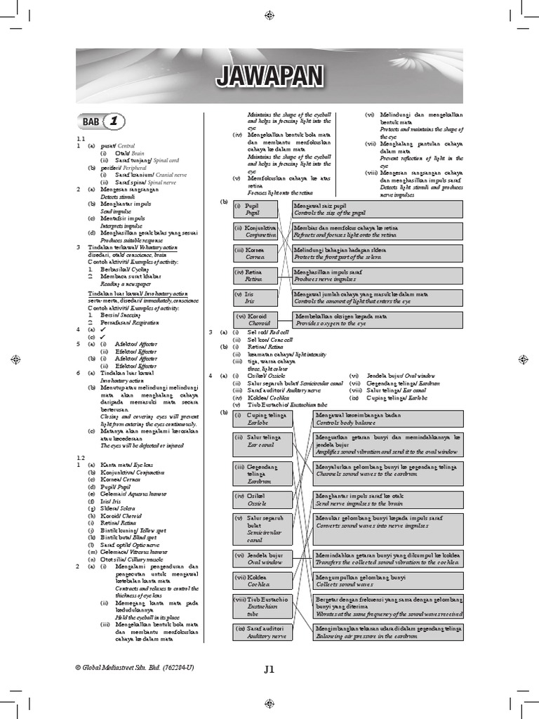 Jawapan Sains Tingkatan 3 Modul Praktis Pdf Atrium Heart