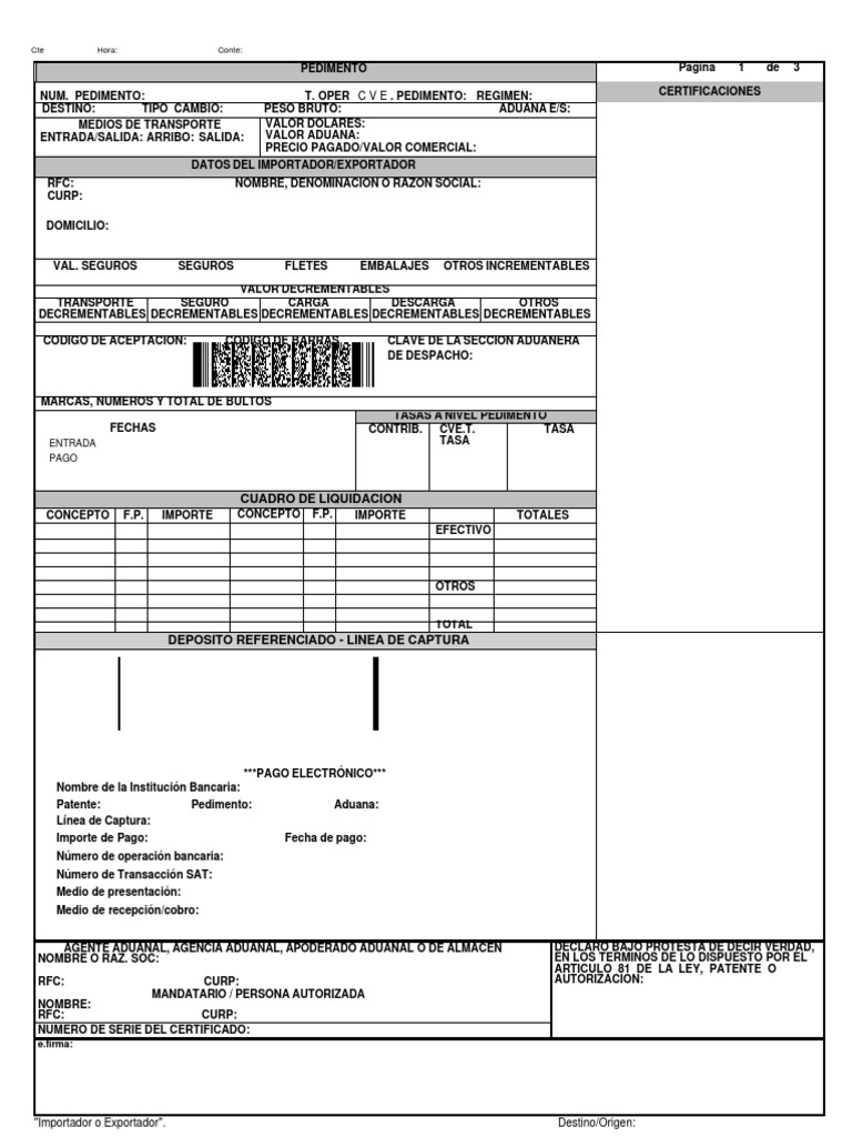 Pedimento en Blanco 1-1 | PDF