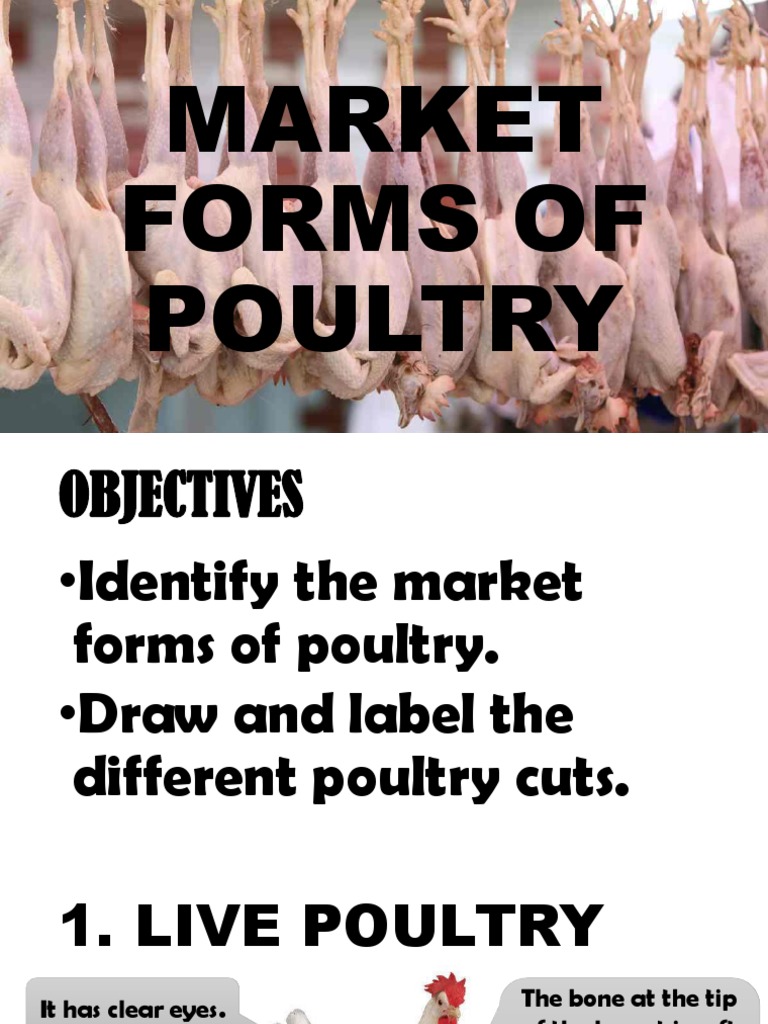 Market Forms of Poultry | PDF | Home & Garden