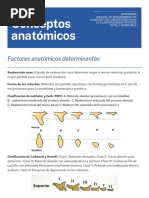 Protocolo Impresión Definitiva para Protesis Total | PDF | Dentadura ...