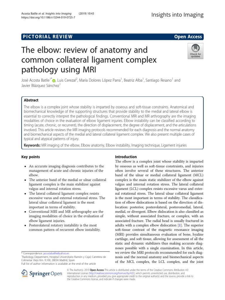 ELBOW MRI ANATOMY | PDF
