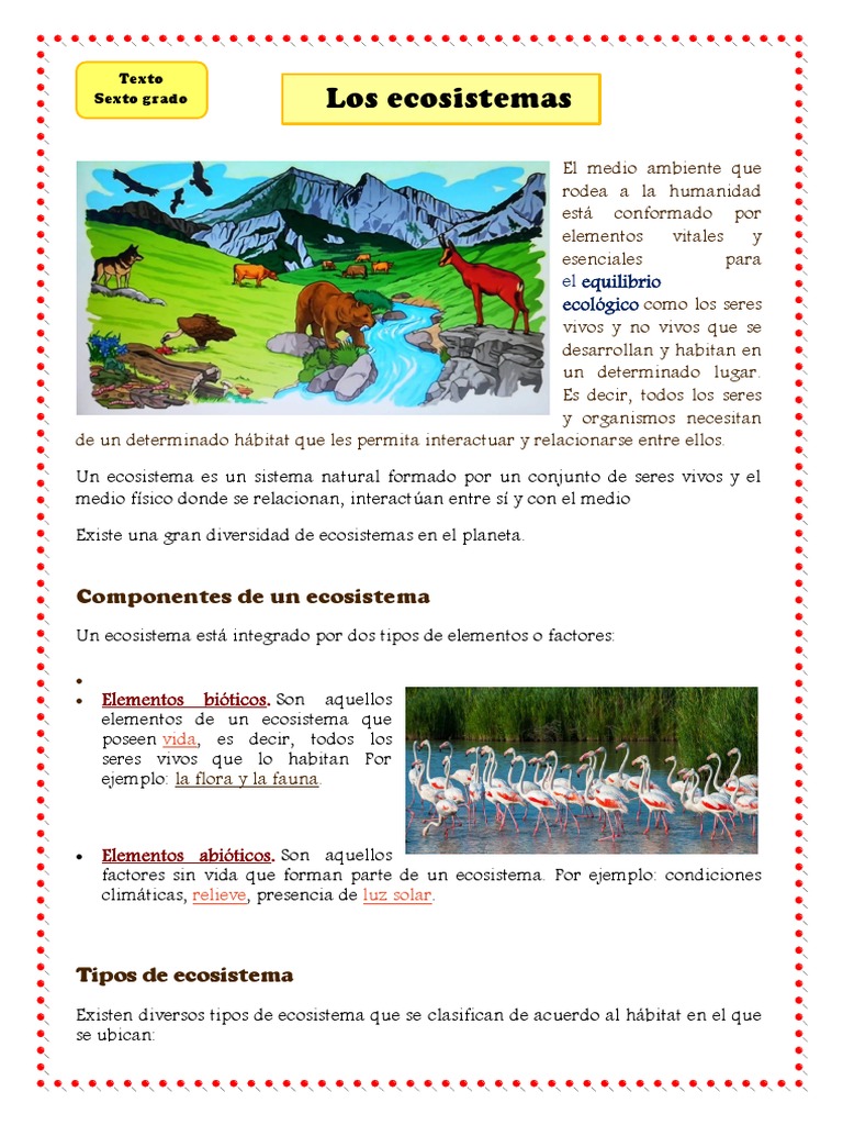 TEXTO 6 - ECOSISTEMA | PDF