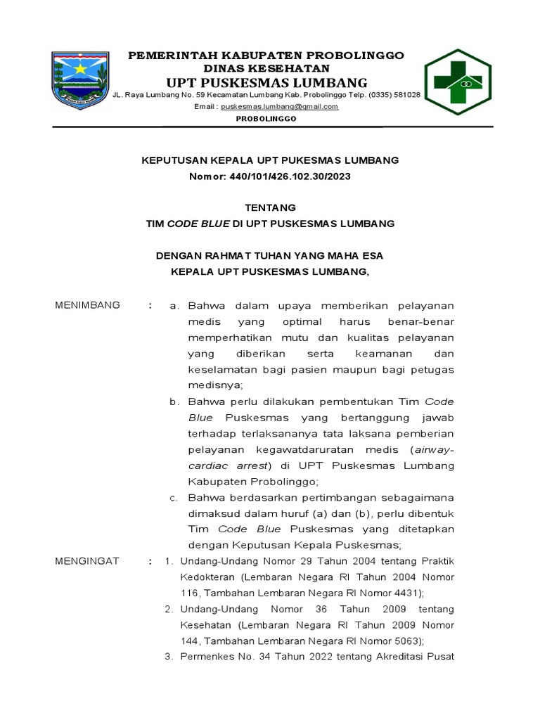 SK Tim Code Blue | PDF