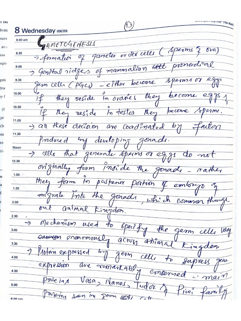 D. Bio Gametogenesis - Spermatogenesis and Oogenesis | PDF