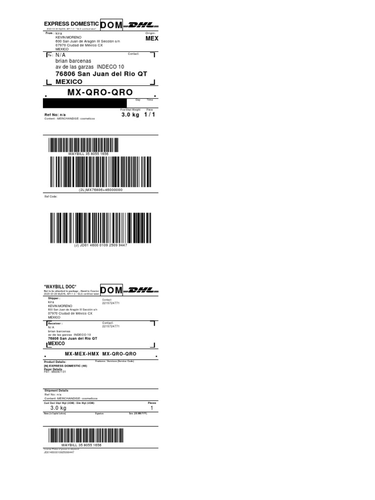 DHL Express Domestic Shipment | PDF