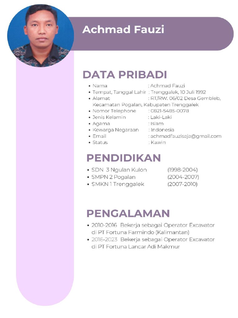 CV 1 Merged Merged | PDF