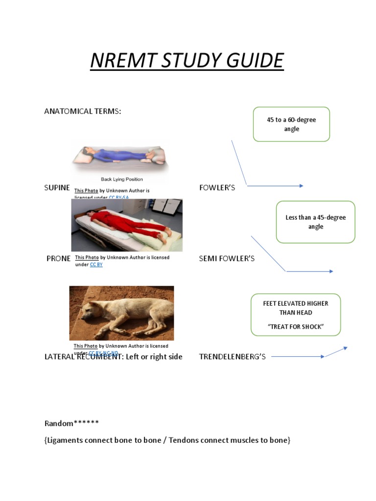 Nremt Study Guide | PDF | Respiratory System | Breathing