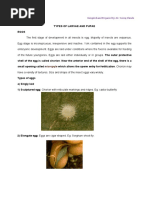 Insect Head Types: Hypognathous, Prognathous, Opisthognathous | PDF