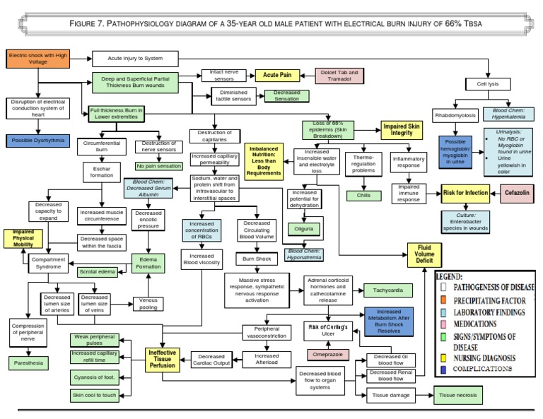 Pathophysiology of Electrical Burns | PDF | Wellness | Lifestyle