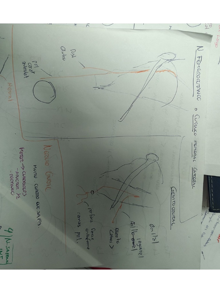 Plexo | PDF