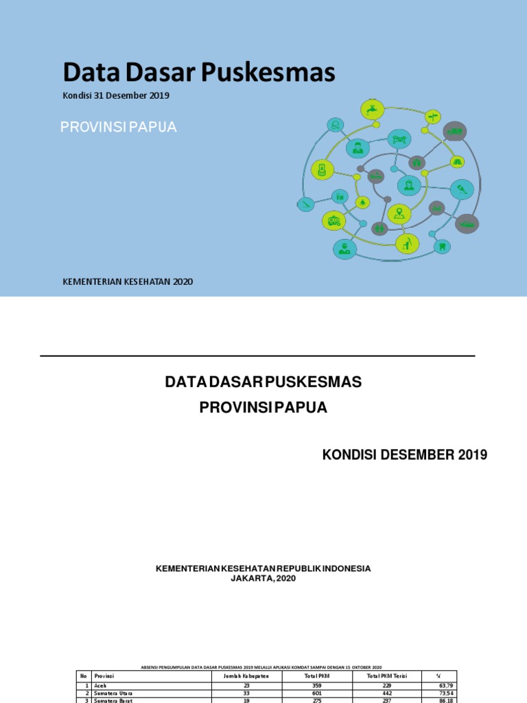 34.buku Data Dasar Puskesmas Provinsi Papua | PDF